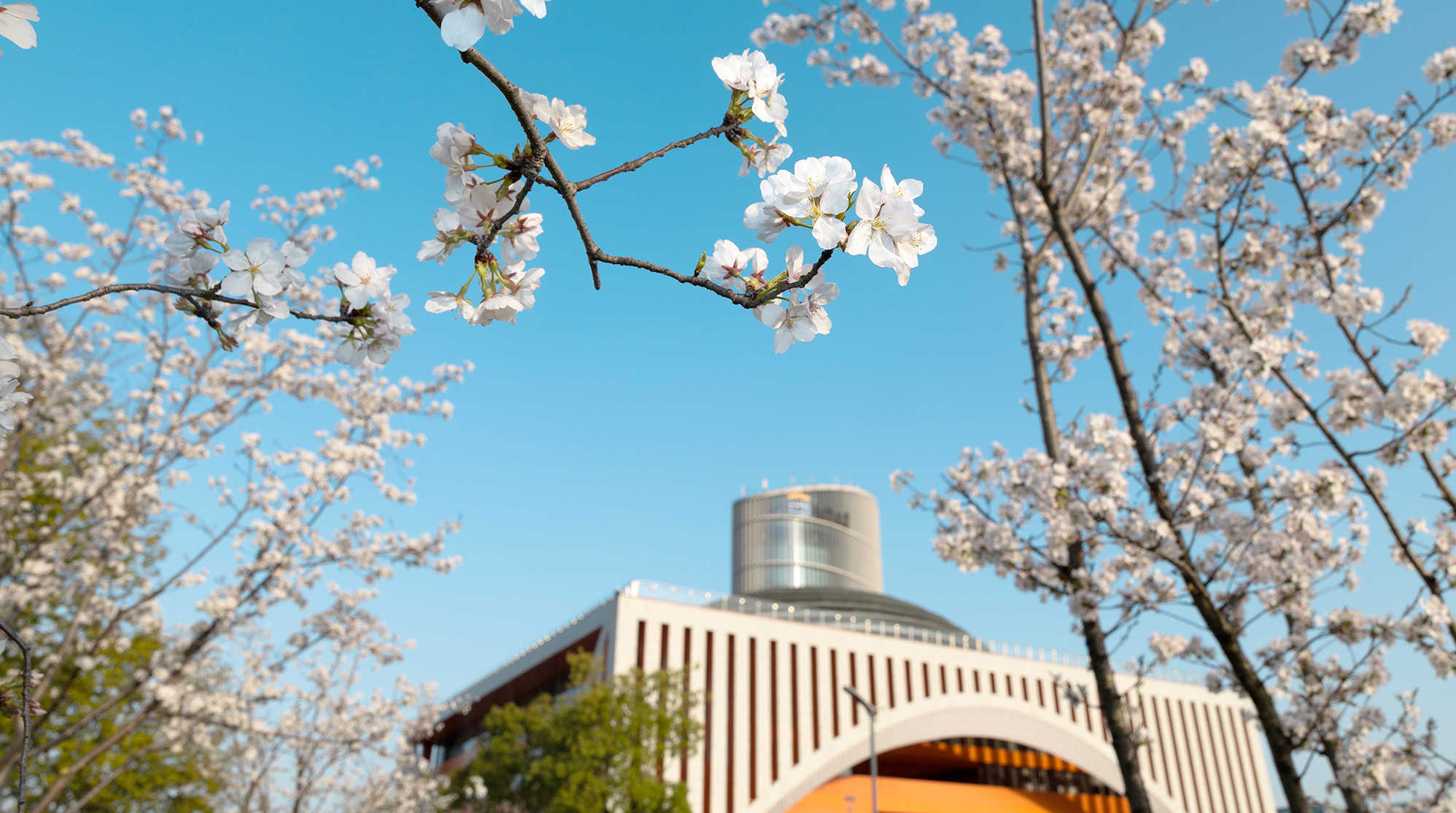 Spring 2026 Westlake Fellows Program Nomination and Application Open